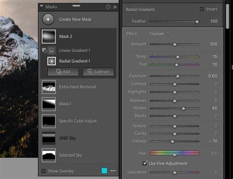 Transform Your Images In Minutes Using Lightroom Radial Filters Artofit