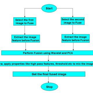 Flow Diagram Representation Of Fusion Of Images Download Scientific Diagram