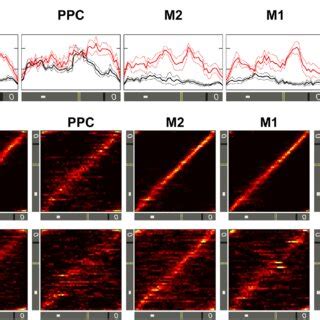 Decoding Error For The Five Neocortical Regions A Decoding Error As A Download Scientific