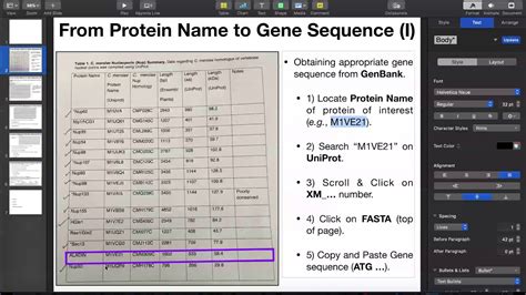 Using Uniprot And Genbank To Locate Gene Sequences Given A Known Protein Youtube