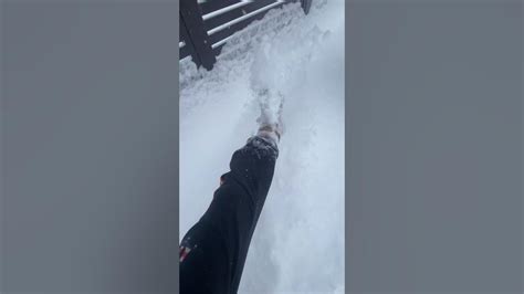 თბიილისის ლივე ვის გინდათ Youtube