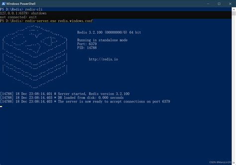 redis server exe启动不成功 输入redis nf之后没反应 csdn博客