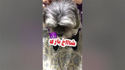 من خیلی شاخم 🤬 Youtube