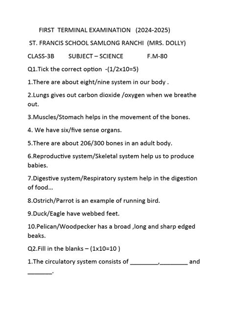 Class 3b Science Pdf Birds Beak