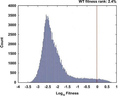Figures And Data In Adaptation In Protein Fitness Landscapes Is Facilitated By Indirect Paths