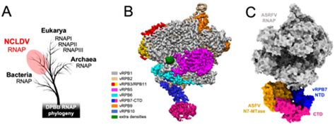 Prof Finn Werners Group Published Paper In Nature Communications
