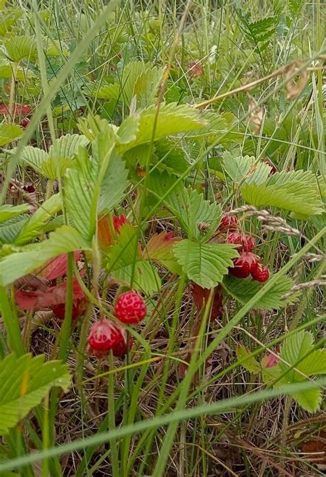 И кто сказал что фото не способно передавать Моя Москва