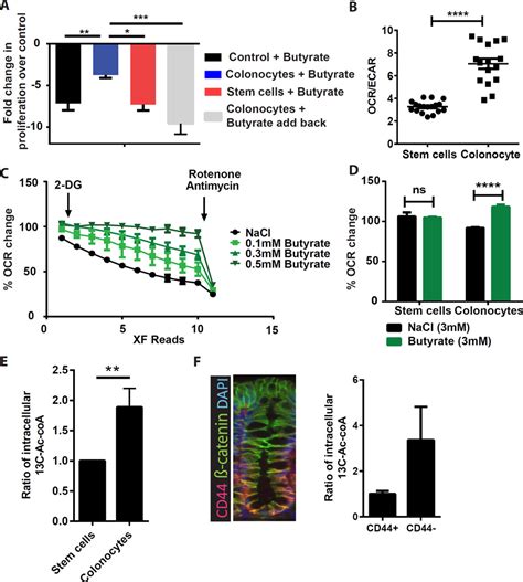 The Colonic Crypt Protects Stem Cells From Microbiota Derived