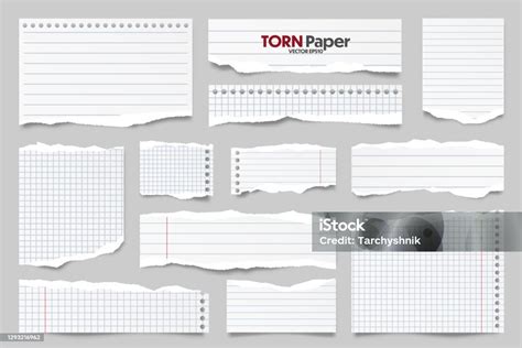 흰색 찢어진 줄 지어 종이 스트립 컬렉션 찢어진 가장자리가있는 현실적인 종이 스크랩 스티커 노트 노트북 페이지의 조각 벡터 일러스트레이션 0명에 대한 스톡 벡터 아트 및