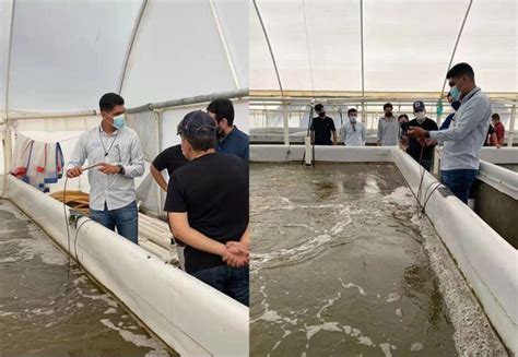 Current Application Status Of Fluorescence Dissolved Oxygen Sensors In The Aquaculture Industry