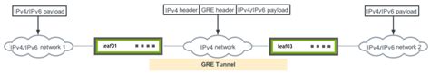 Gre Tunneling Cumulus Linux 51