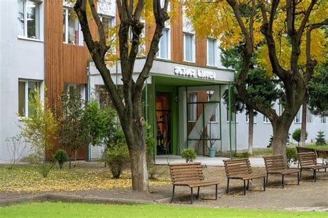 📣მწვანე სკოლის დიდი დიღმის მწვანე სკოლა დიდი დიღომი