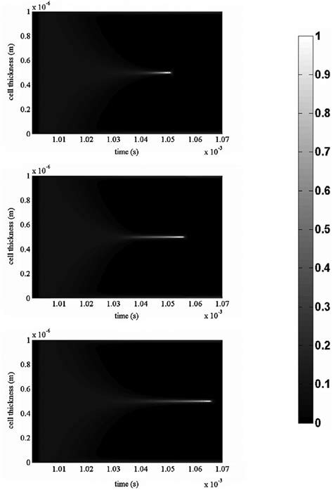 Surface Contour Plots Of The Biaxial Order Evolution For The 1 Ms ≤ T ≤