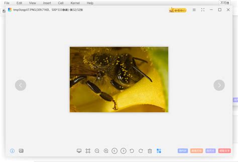Pytorch从入门到精通：二、dataset与datalodar Csdn博客
