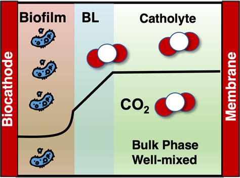Schematic Of The Microbial Electrosynthesis Bioreactor The Bioreactor Download Scientific