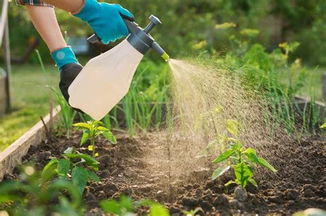 Pyrethrin Insecticide Missouri Poison Center