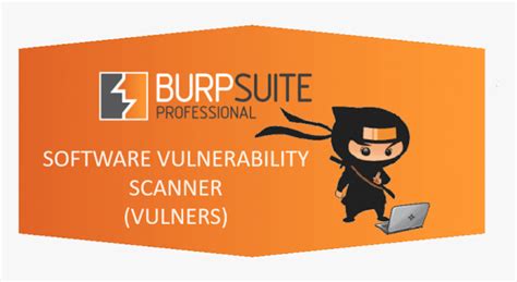 Unveiling The Power Of The Software Vulnerability Scanner Extension In