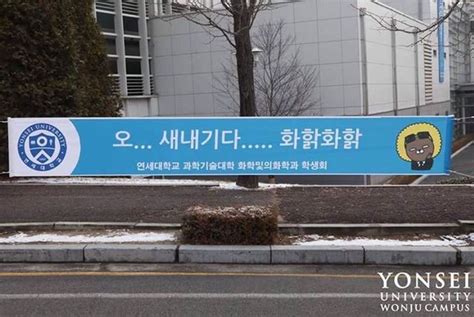 연세대의 신입생 환영 문구 센스 넘쳐 사진 5장 오펀 디스커스