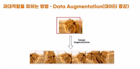 딥 러닝 전이학습