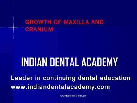 Development And Growth Of Maxilla Pptx
