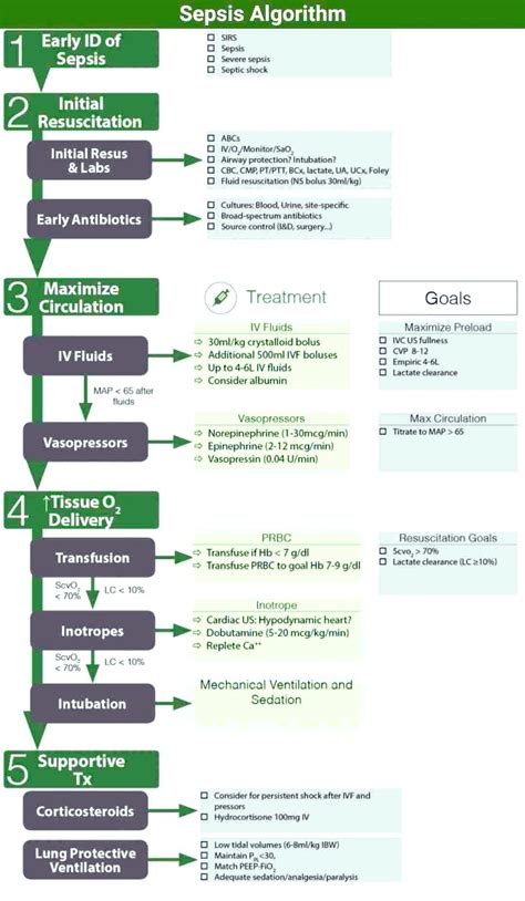 Dr Javeria Khatoon On Linkedin Algorithm For Sepsis