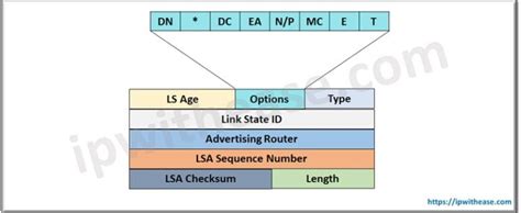 15 Ospf Bit Types Explained Ip With Ease