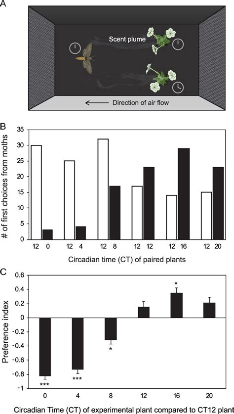 Synchronization Of Plant And Pollinator Clocks Is Important For Floral Download Scientific