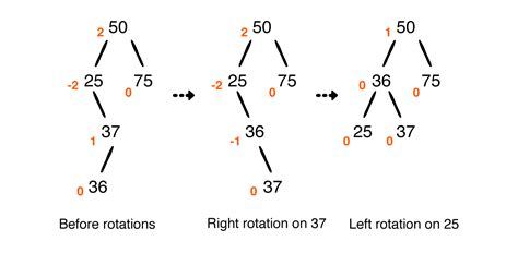 Data Structures Algorithms In Swift Chapter 16 AVL Trees Kodeco