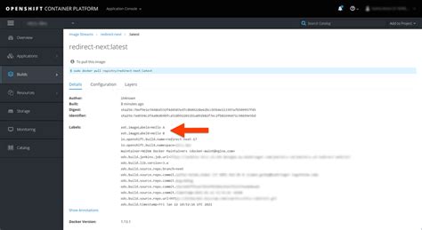 Bug ExtensionImageLabels Option Is Ignored Issue Opendevstack Ods Jenkins Shared