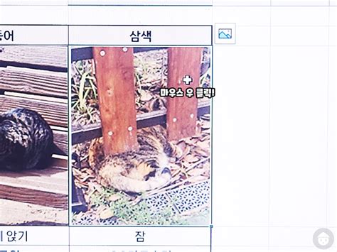 엑셀 이미지 셀에 배치하기 그림 정렬 및 크기 조정 꿀팁 네이버 블로그 엑셀 이미지 셀에 배치하기 그림 정렬 및 크기 조정 꿀팁 네이버 블로그