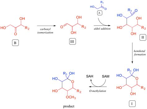 Interchapter Retrosynthetic Analysis And Metabolic Pathway Prediction