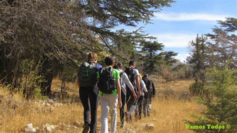 Tannourine To Beit Chlela Hike With Vamos Todos Lebanon Traveler