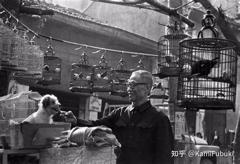 岳阳老照片 知乎