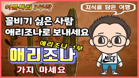 미국 여행 여름 특집 1탄 애리조나 1편 애리조나 가지마세요 안전하게 랜선여행 즐기세요 지식을 담은 여행 Youtube