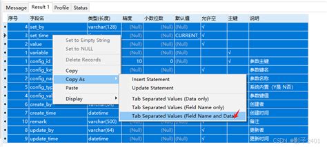 Navicat导出mysql数据库表结构说明到excel、word，单表导出方式记录navicat导出表结构到excel Csdn博客