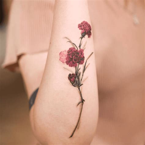 Tattoo Carnation Flower Symbolism Design And Meaning