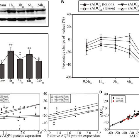 A Western Blot Of Aquaporin 4 Aqp4 Expression And Histogram For