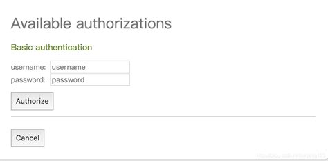 swagger添加basicauth和oauth2 0认证 swagger basicauth csdn博客