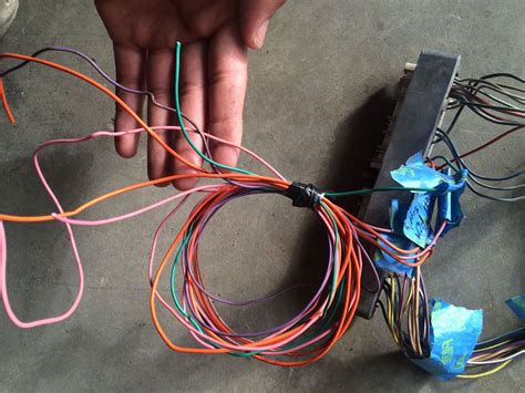 Wiring Harness For Ls Engine Swap At Thomas Castillo Blog