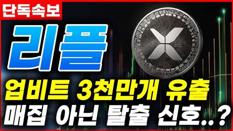 리플xrp 하루만에 1370억 원 리플 대이동큰일난 것 같습니다빨리 시청하세요 리플코인 리플전망 급등코인
