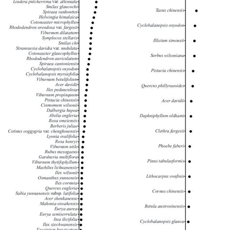 niche overlap analysis of t sutchuenensis and other species in arbor