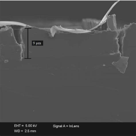 Sem Image Of The Cross Section Profile Of Microcut Sample Using
