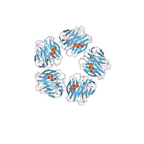 Saa Human Serum Amyloid A1 Recombinant Molecular Depot