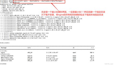 【linux网络】工作环境救急——关于yum安装的5个花式操作 csdn博客