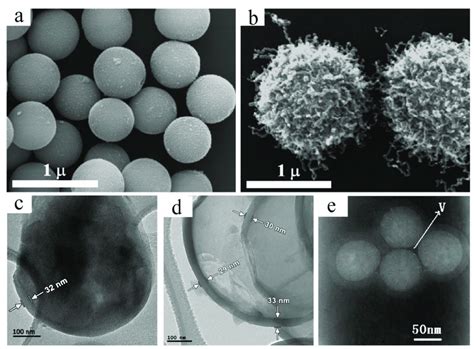 Scanning electron microscope (SEM) images of (a) SiO2/IO microspheres... | Download Scientific ...