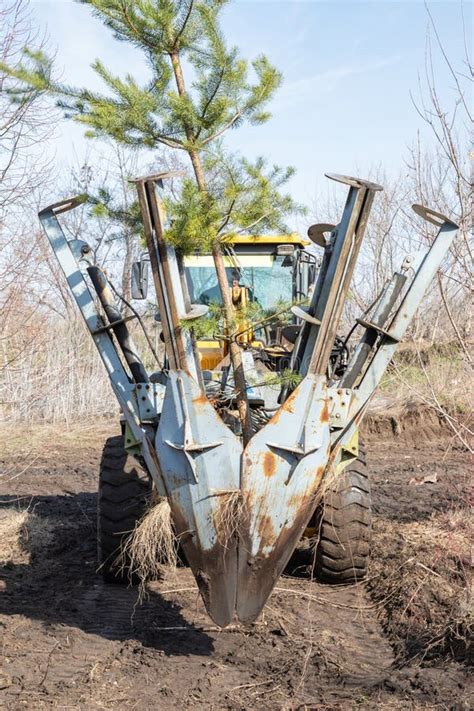 Tree Transplanter Heavy Machine Transports Just Dug Up Tree Landscaping Seasonal Agricultural