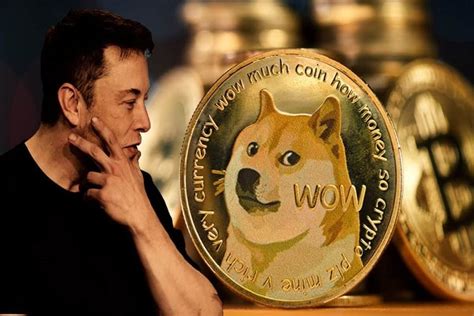 Twitter Logosu Dogecoin Olarak Güncellendi İşte Nedeni R10