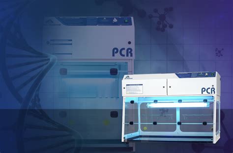 Pcr Amplification