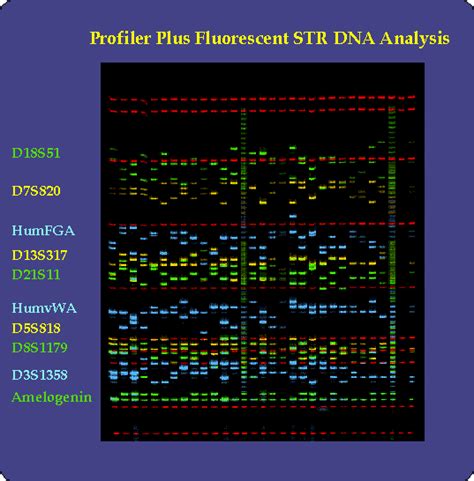 New And Improving Dna Profiling Continues To Impress And Surprise Common Science Space