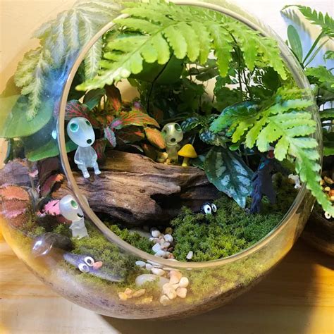 入坑微景观生态瓶看图苔藓微景观吧百度贴吧 花瓣网